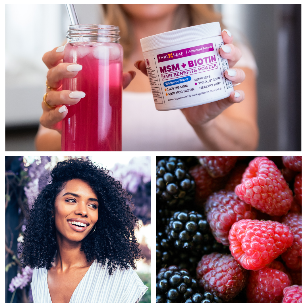 Tasty, Non-Bitter MSM & Artemisia Beverage Boosts! – Twig & Leaf Wellness